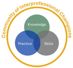 IPE Curriculum | Office of Education | Washington University in St. Louis
